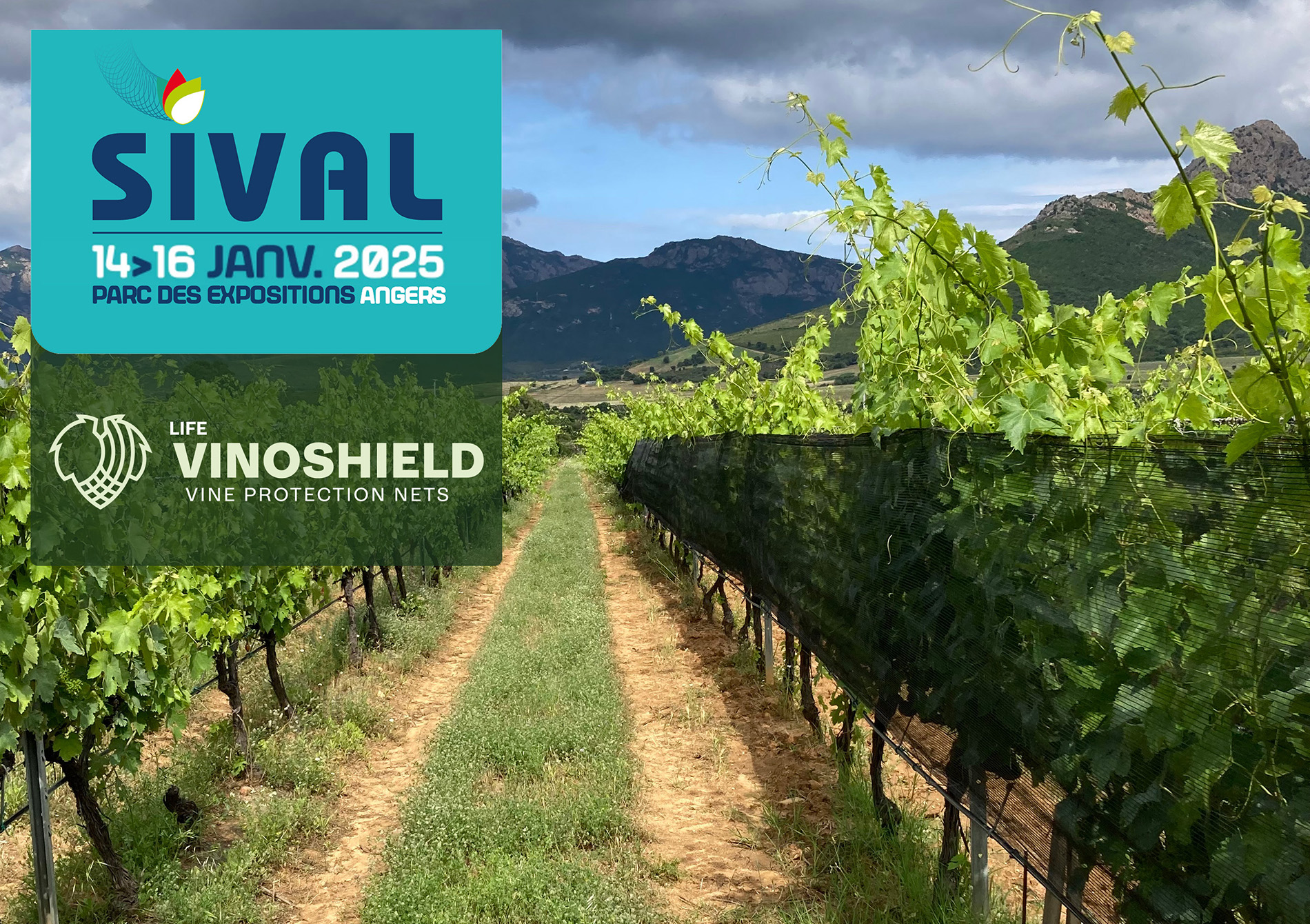 LIFE VINOSHIELD showcased at SIVAL 2025 - Vinoshield
